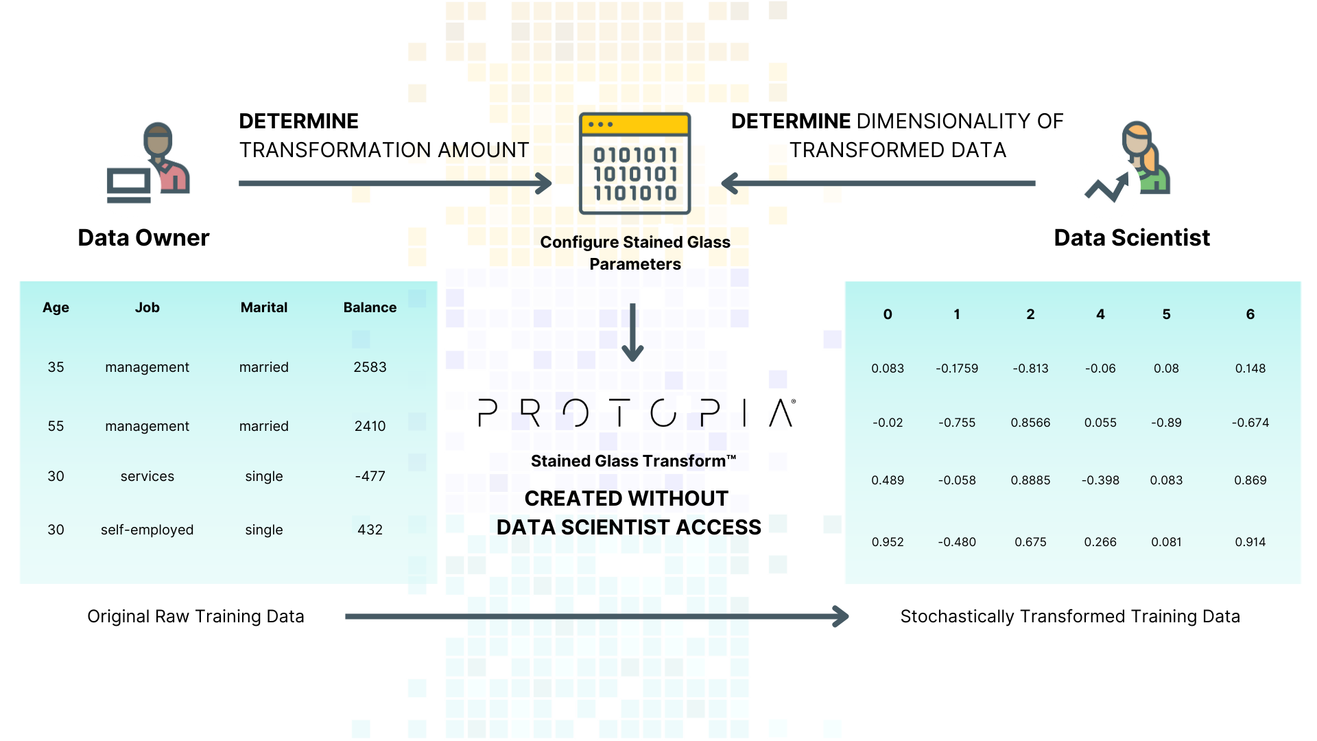 SGT for Model Training - Protopia